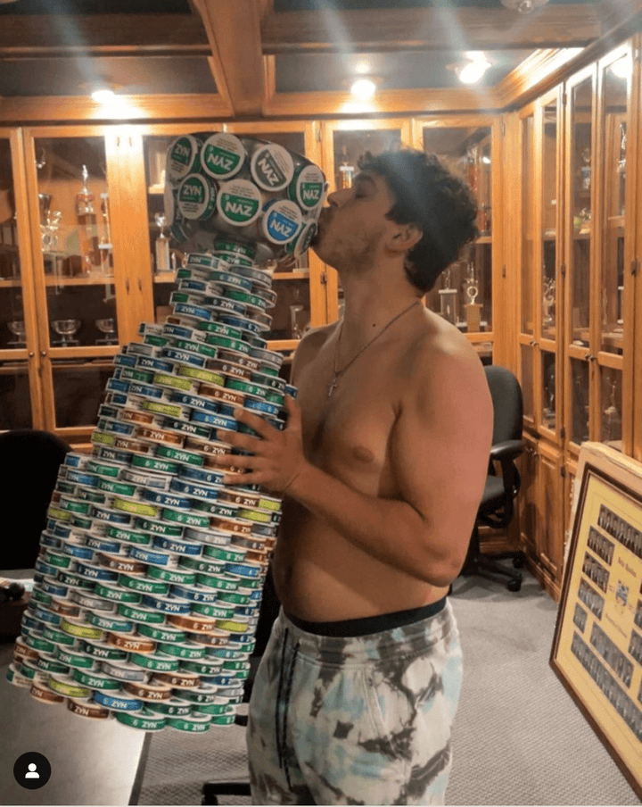 The Zyntertainer: Zyn Tips, Tricks, & Memes – Z Caddy